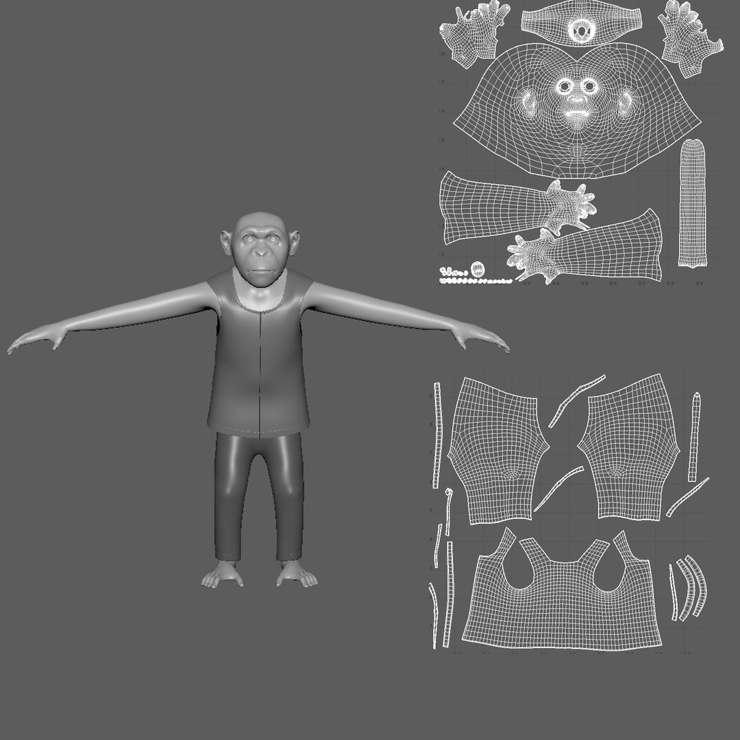Cartoon Monkey- Base Mesh 3D Model - TurboSquid 2182726