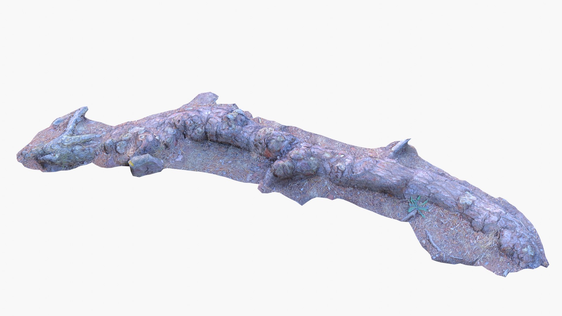 Lowpoly 3d Scanned Pine Trunks - Pinus Pinea And Pinaster Model ...
