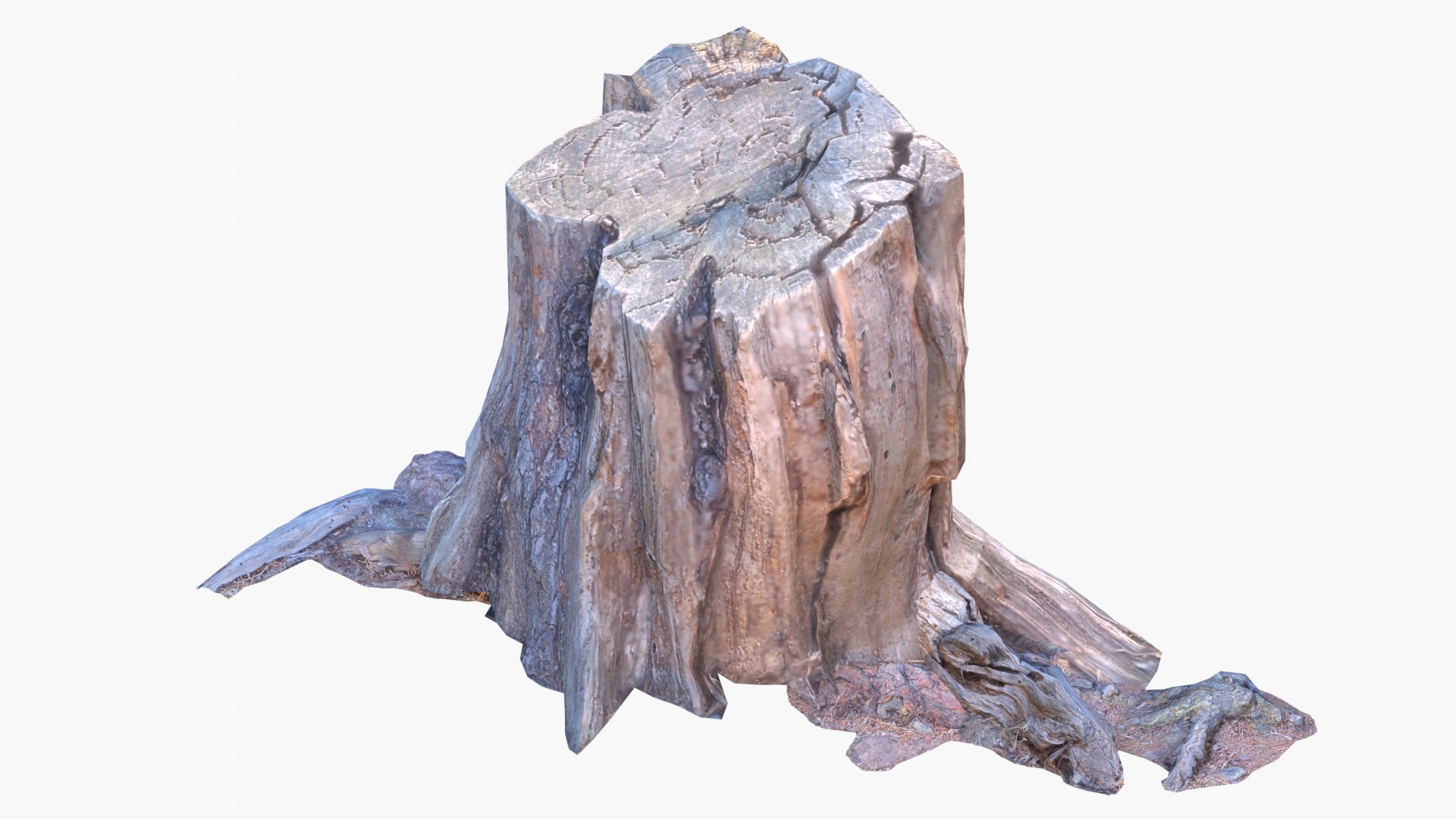 Lowpoly 3d Scanned Pine Trunks - Pinus Pinea And Pinaster Model ...