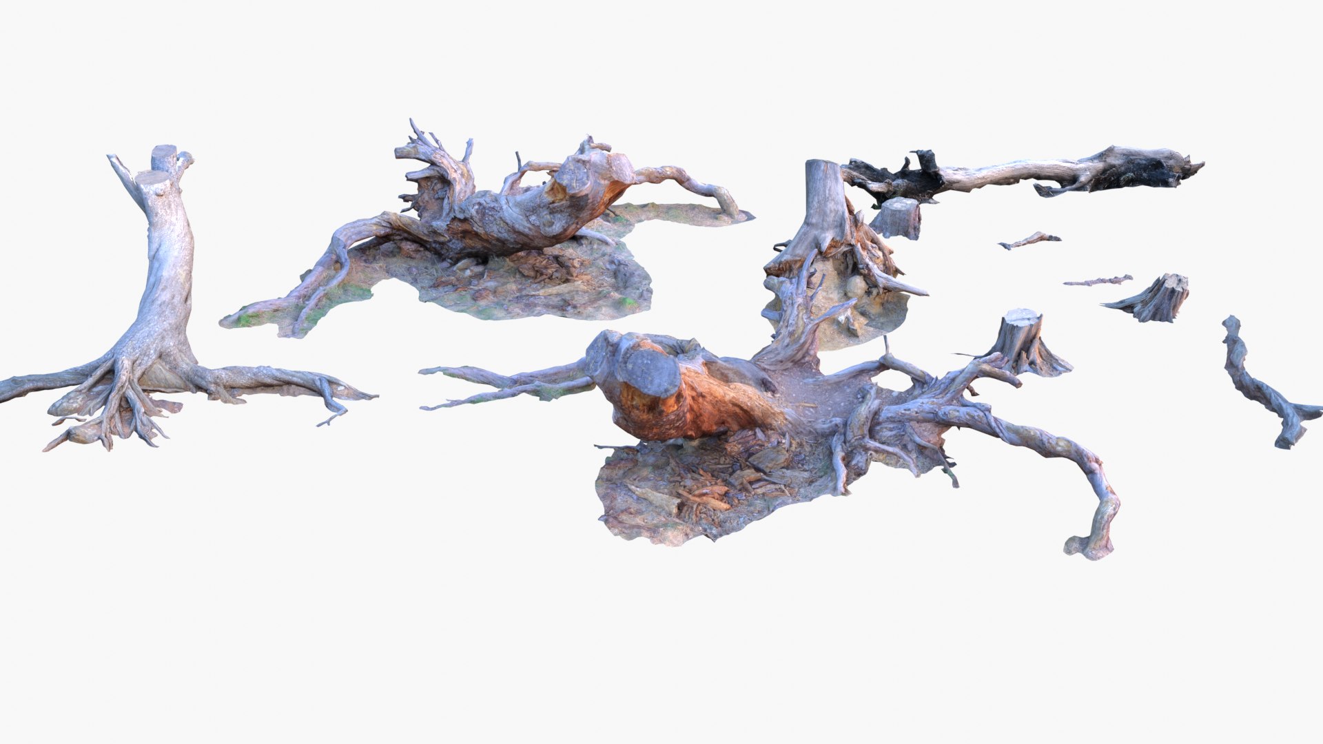 Lowpoly 3d Scanned Pine Trunks - Pinus Pinea And Pinaster Model ...