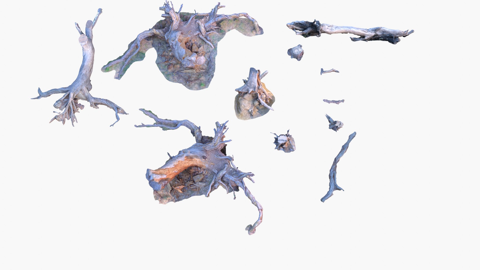 Lowpoly 3d Scanned Pine Trunks - Pinus Pinea And Pinaster Model ...