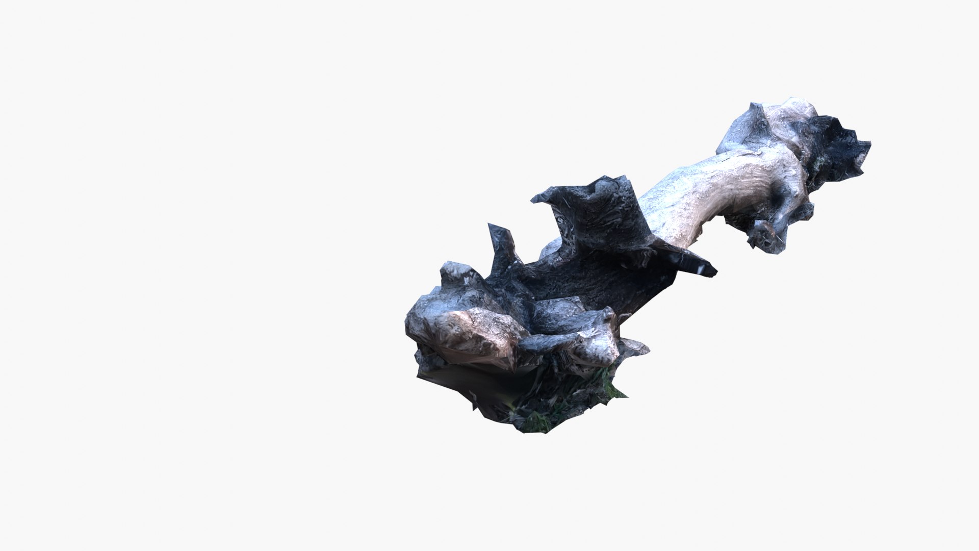 Lowpoly 3d Scanned Pine Trunks - Pinus Pinea And Pinaster Model ...