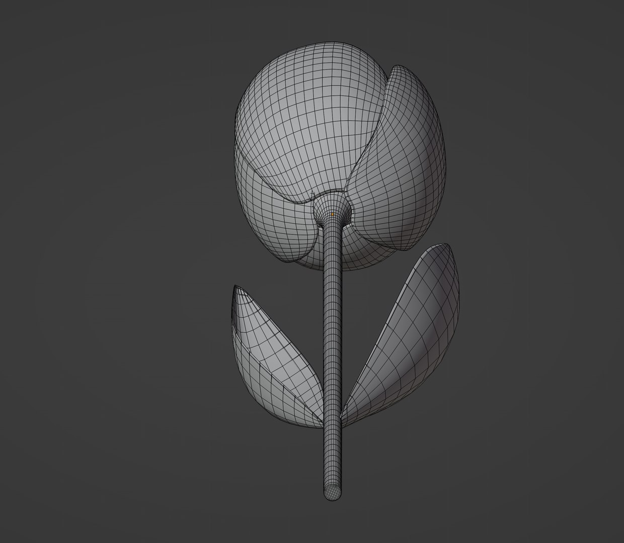 Tulip 3D Model - TurboSquid 2131685