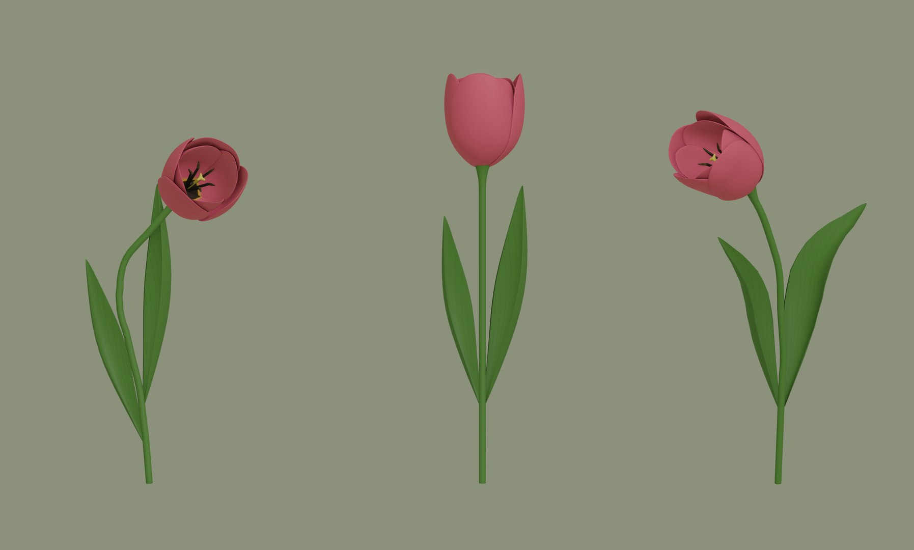 Tulip 3D Model - TurboSquid 2131685