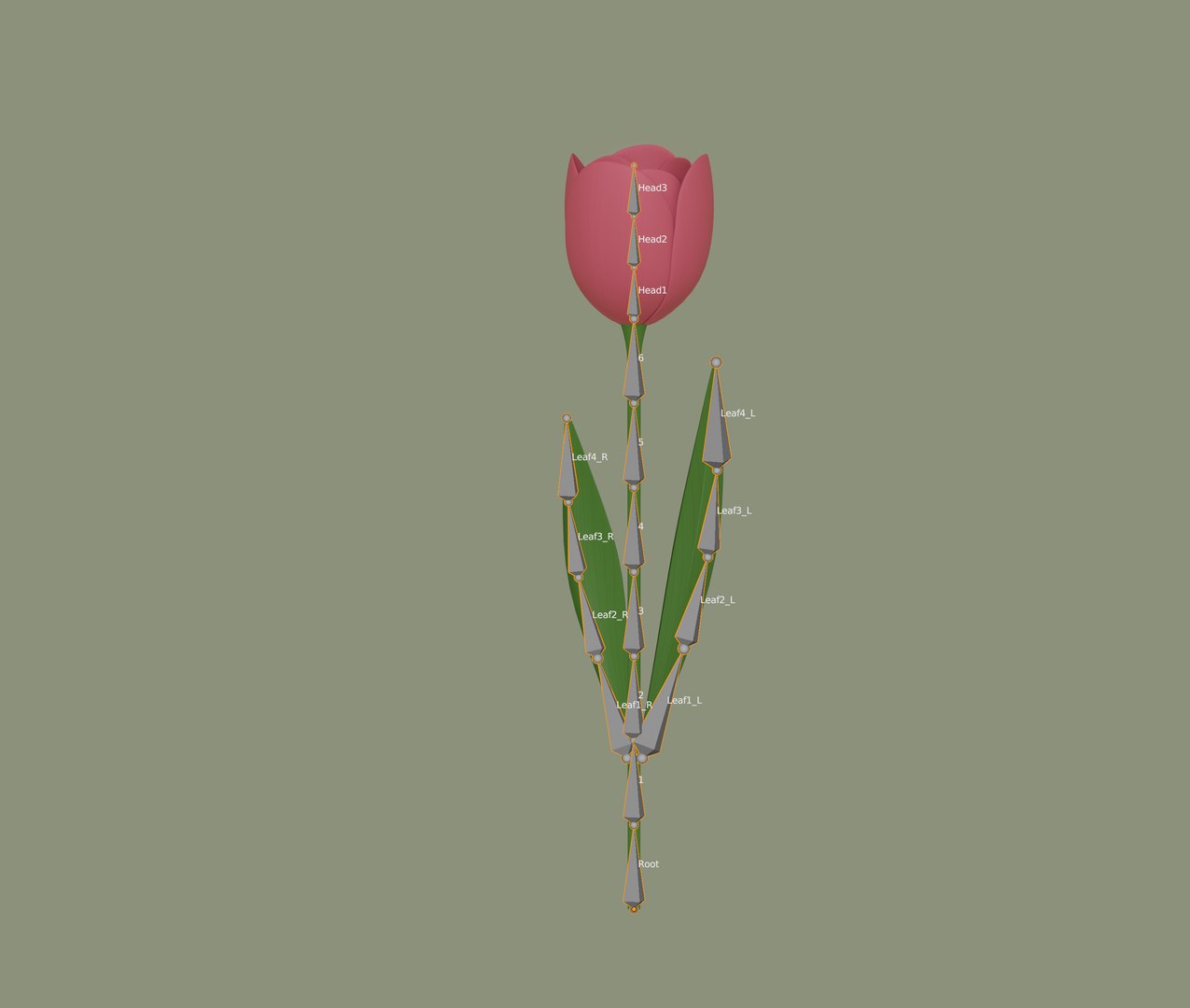 Tulip 3D Model - TurboSquid 2131685
