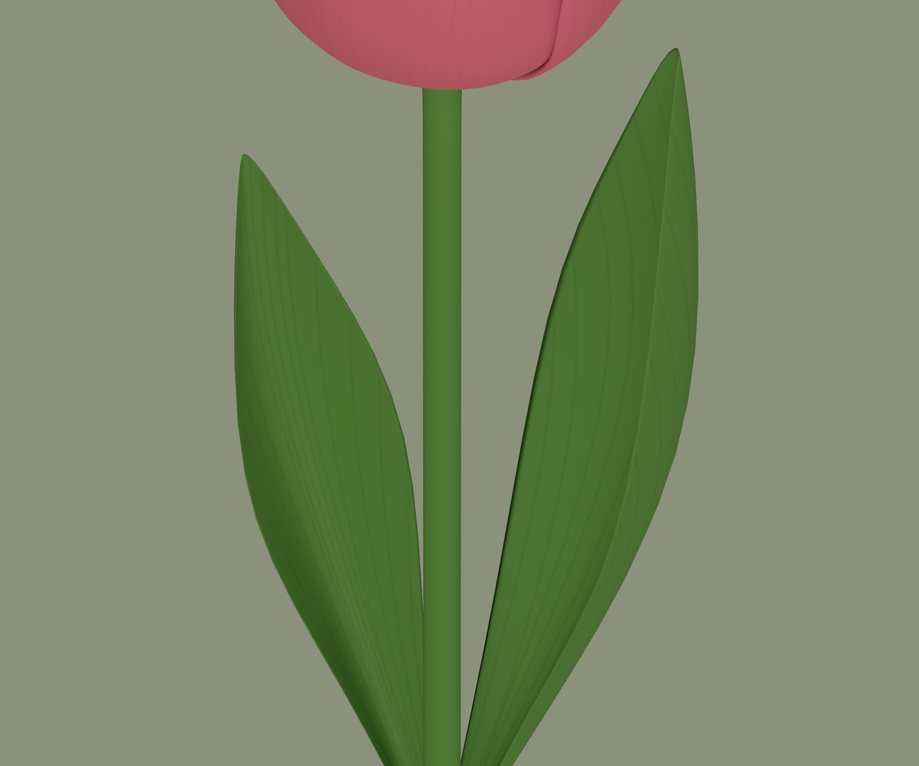 Tulip 3D Model - TurboSquid 2131685