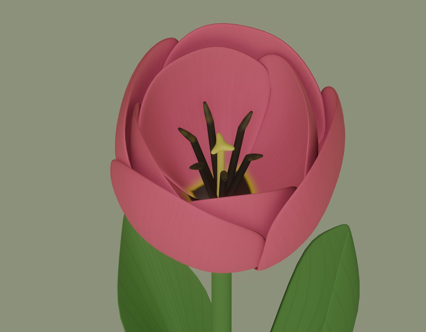 Tulip 3D Model - TurboSquid 2131685