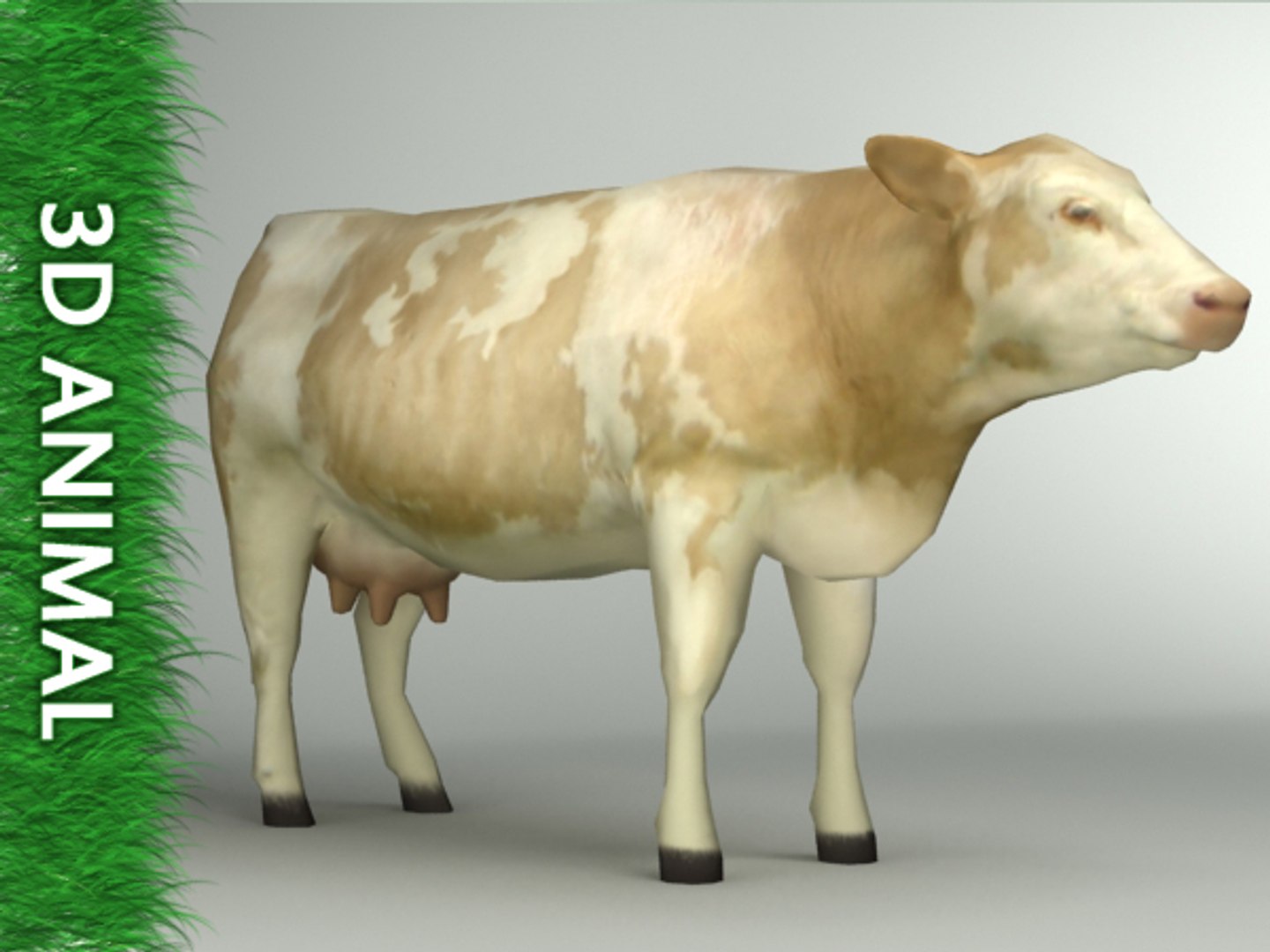 cow arch renderings 3d model