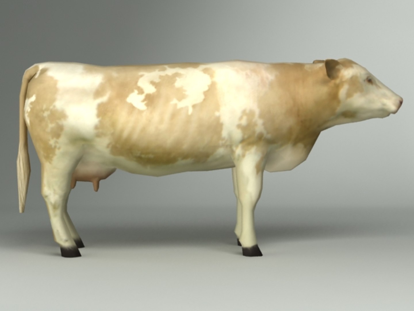 cow arch renderings 3d model