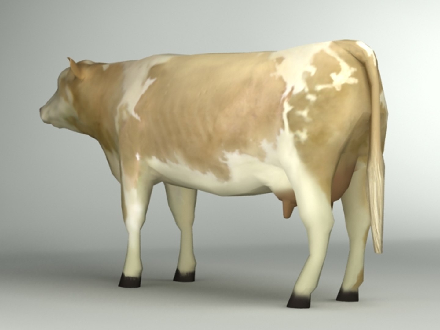 cow arch renderings 3d model