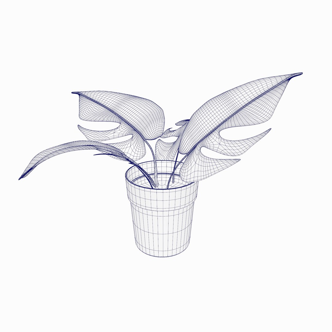 3D Model Indoor Plant - TurboSquid 2348509