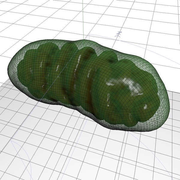 3d mitochondrion cells