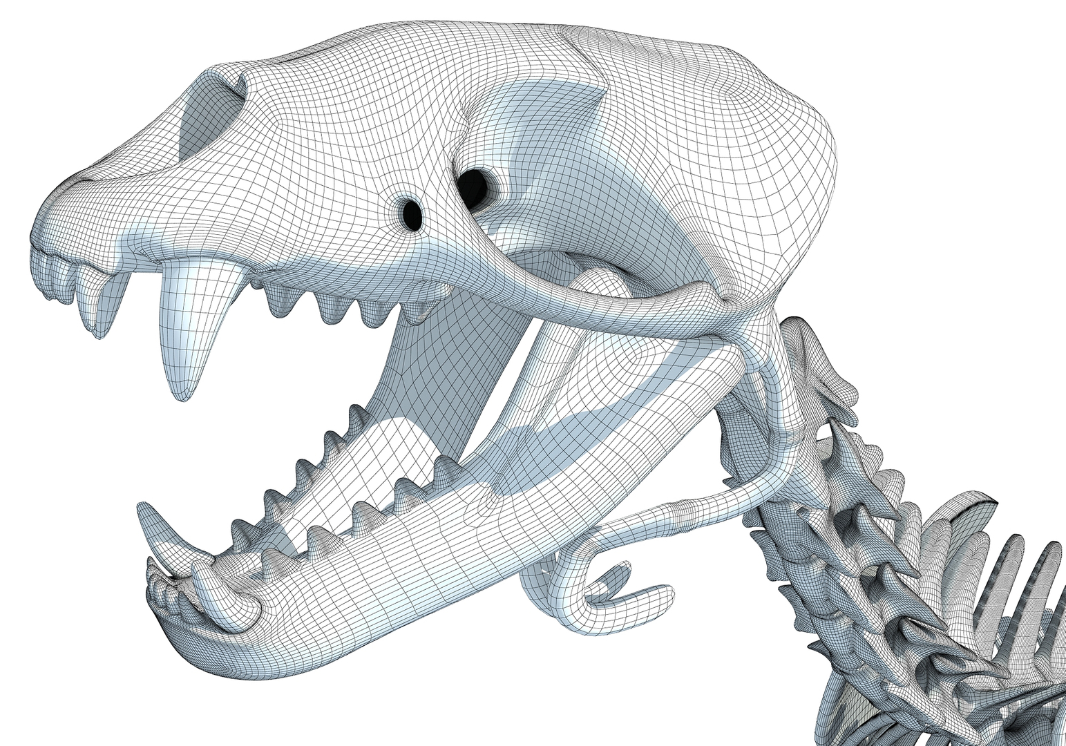 3D aquatic skeleton - TurboSquid 1238795