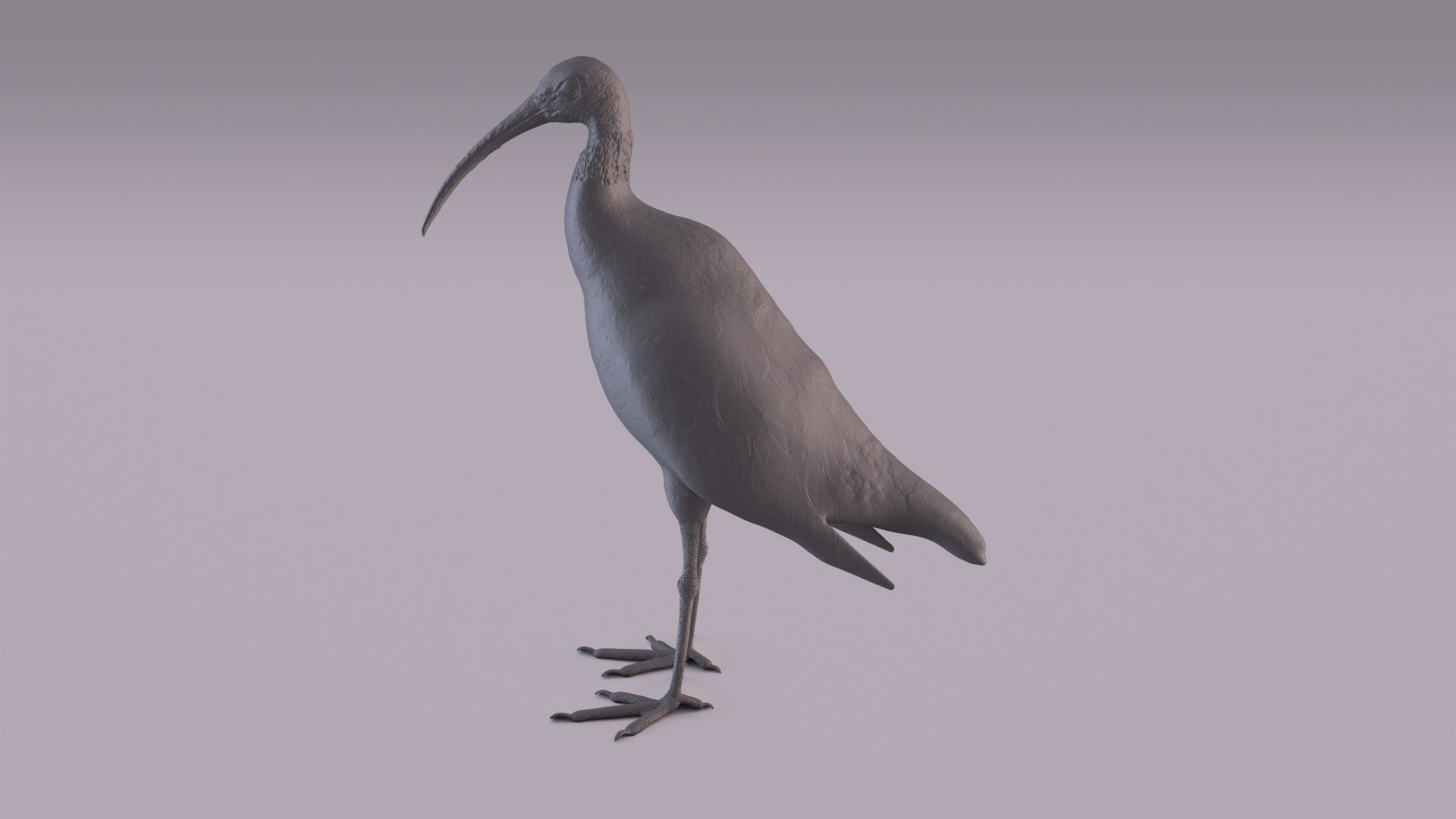 3D Ibis Printable - TurboSquid 1761002