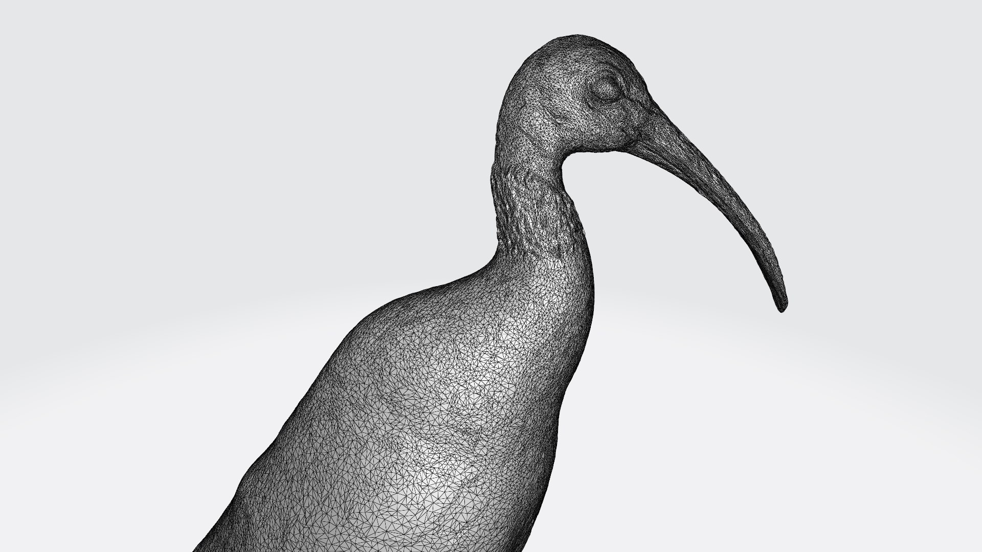3D Ibis Printable - TurboSquid 1761002