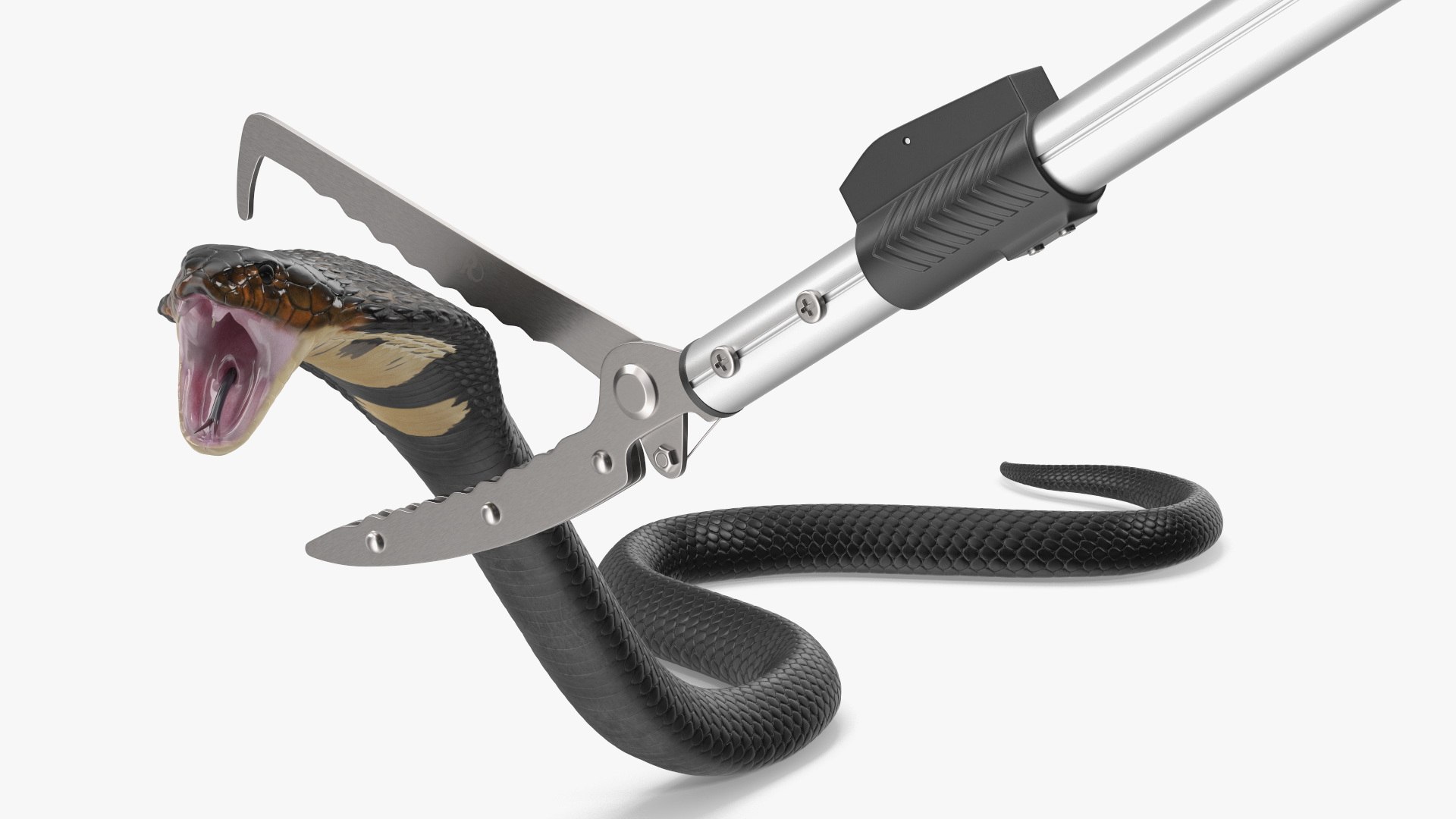 Snake Catching Pole With Captured Black Snake 3D Model - TurboSquid 2413403