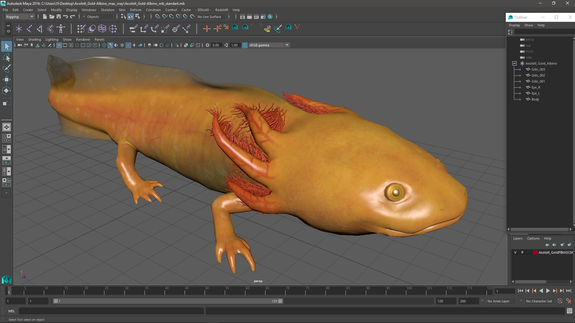 3D Model Axolotl Gold-Albino - TurboSquid 2209666