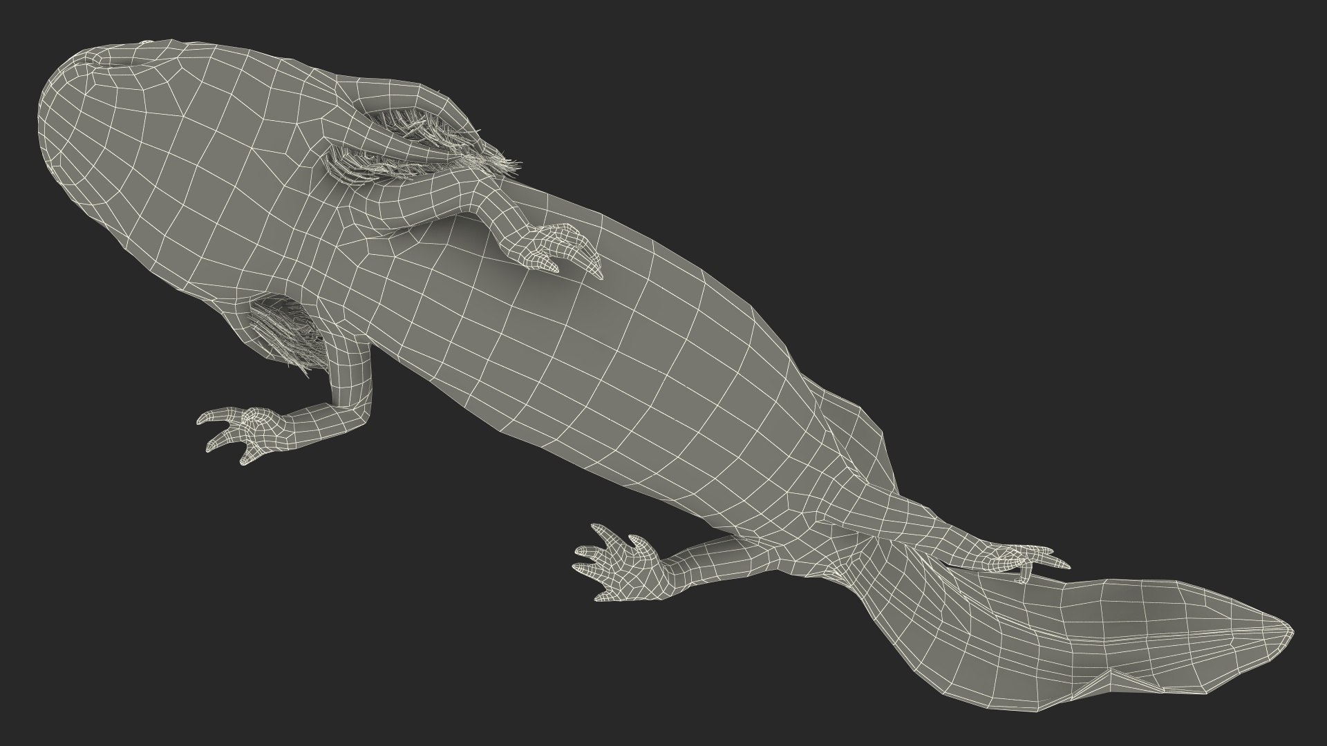 3D Model Axolotl Gold-Albino - TurboSquid 2209666