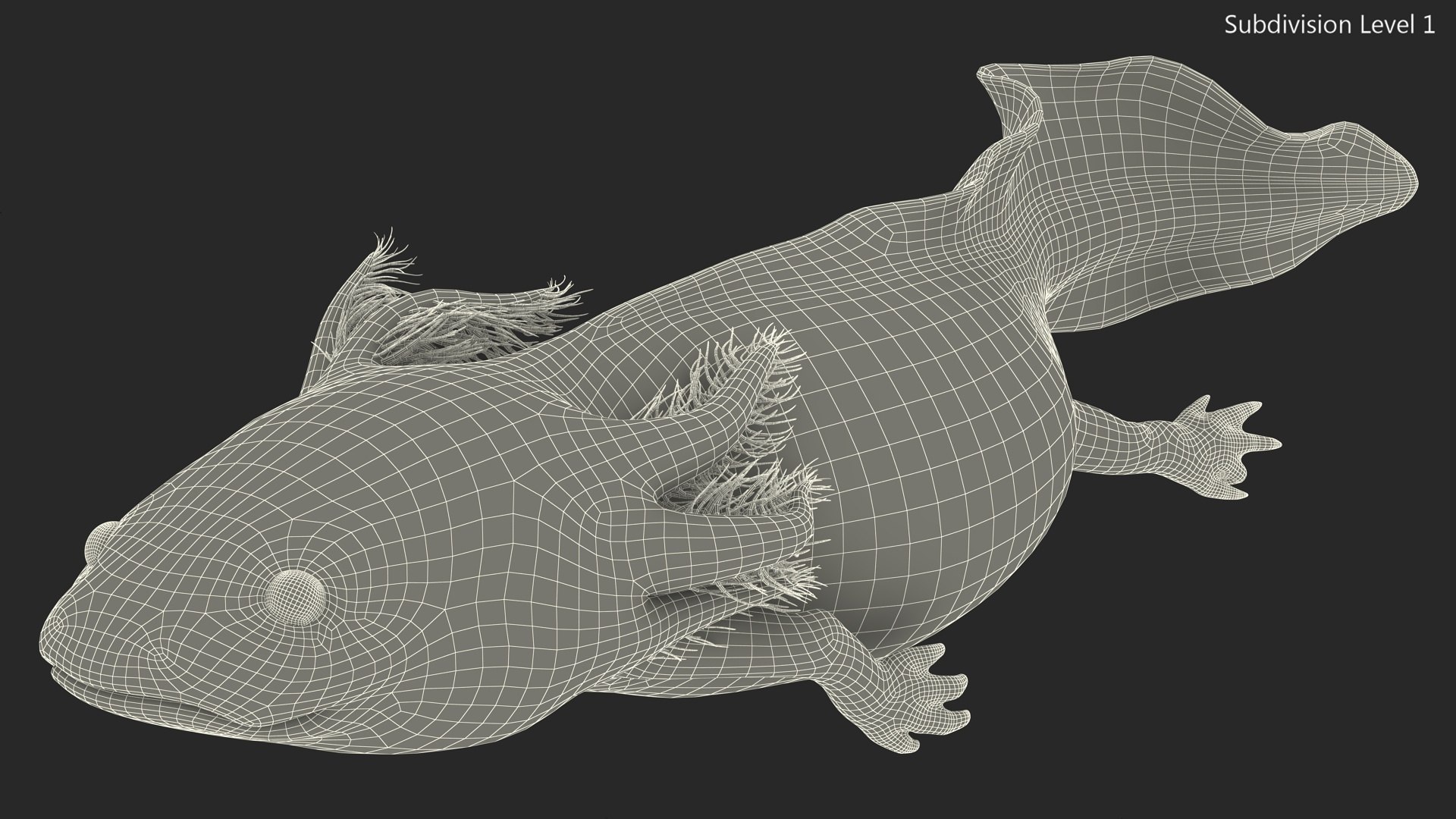 3D Model Axolotl Gold-Albino - TurboSquid 2209666