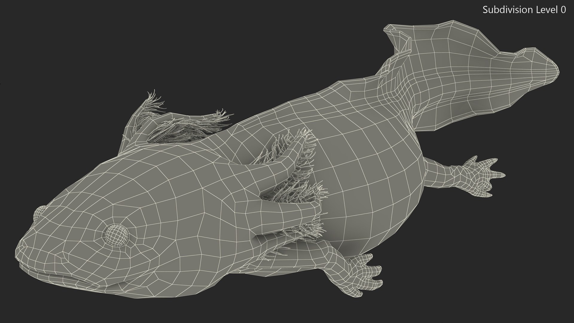 3D Model Axolotl Gold-Albino - TurboSquid 2209666