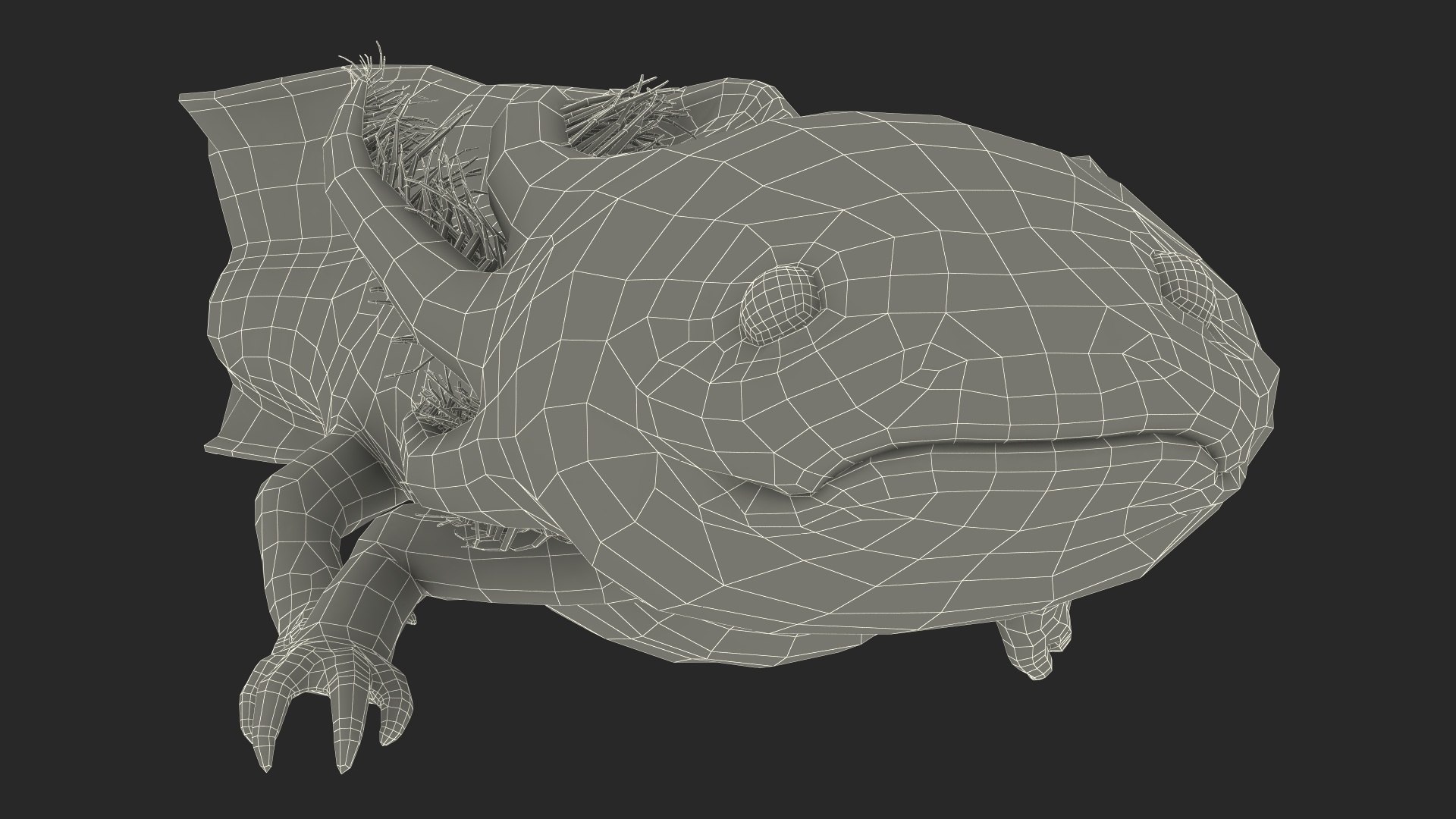 3D Model Axolotl Gold-Albino - TurboSquid 2209666