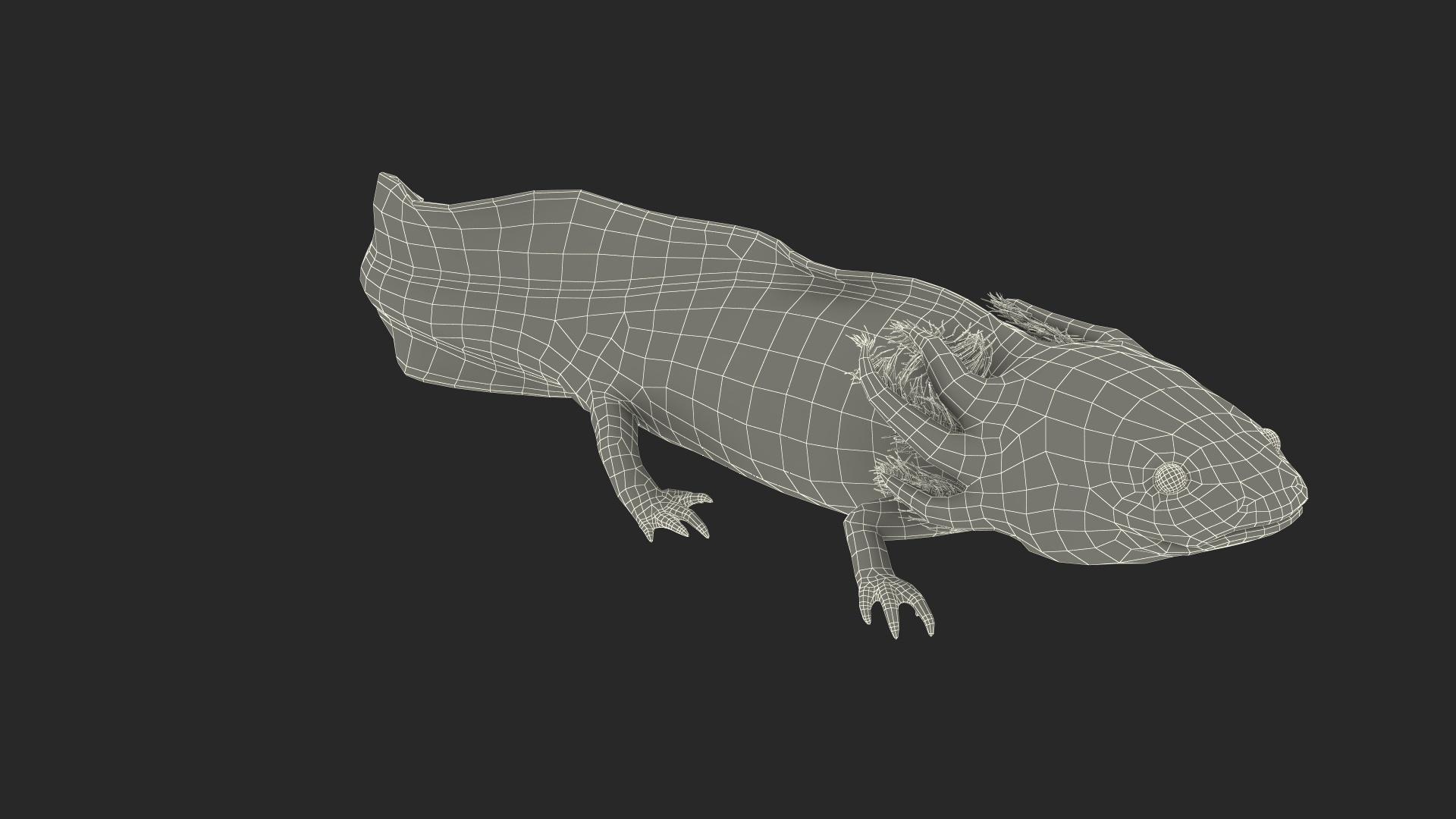 3D Model Axolotl Gold-Albino - TurboSquid 2209666