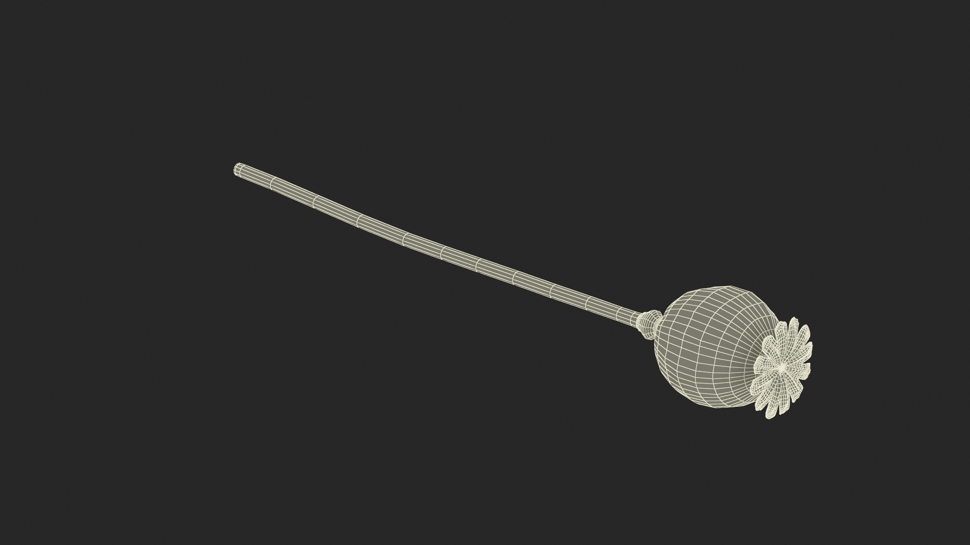 3D Poppy Seed Plants Collection model - TurboSquid 2019256