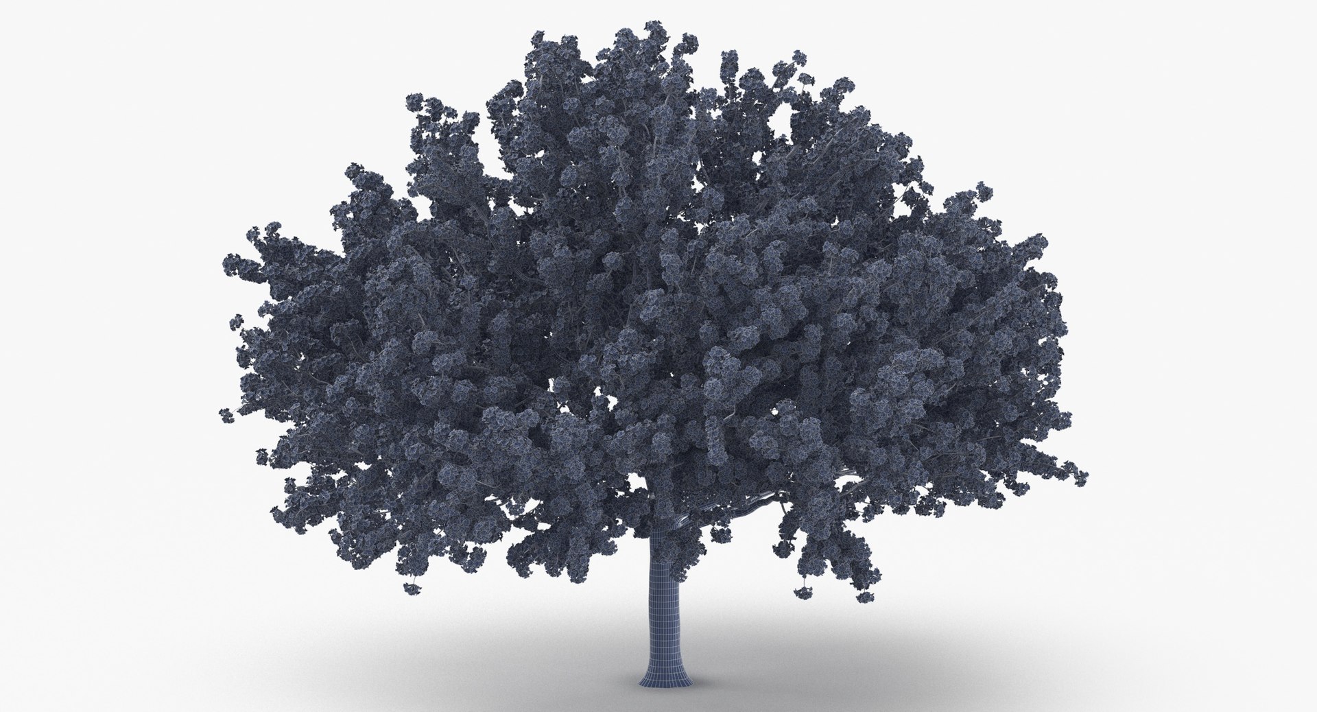 Cherry Tree 3D Model - TurboSquid 2242121