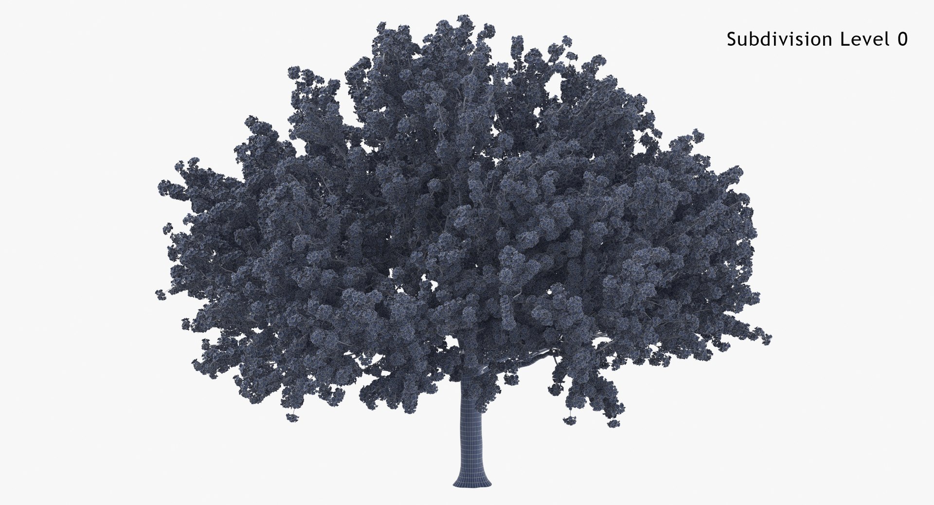 Cherry Tree 3D Model - TurboSquid 2242121