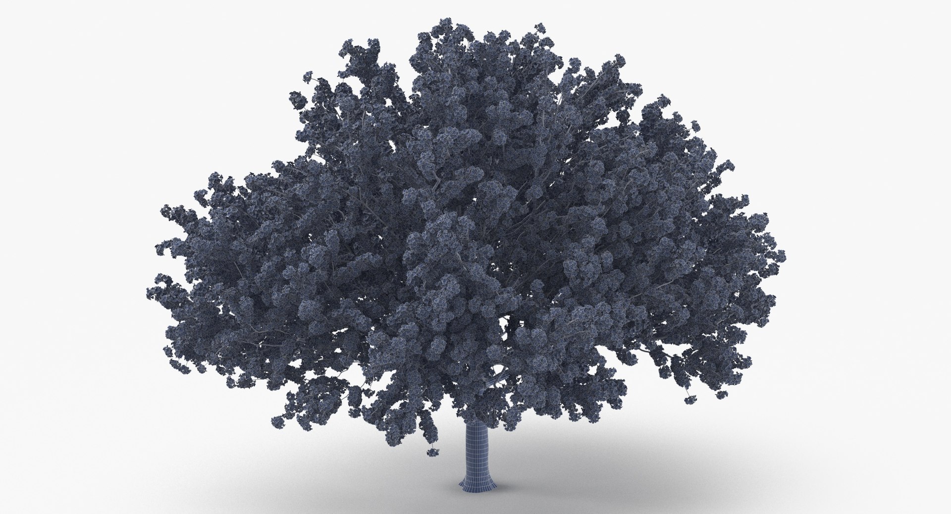 Cherry Tree 3D Model - TurboSquid 2242121