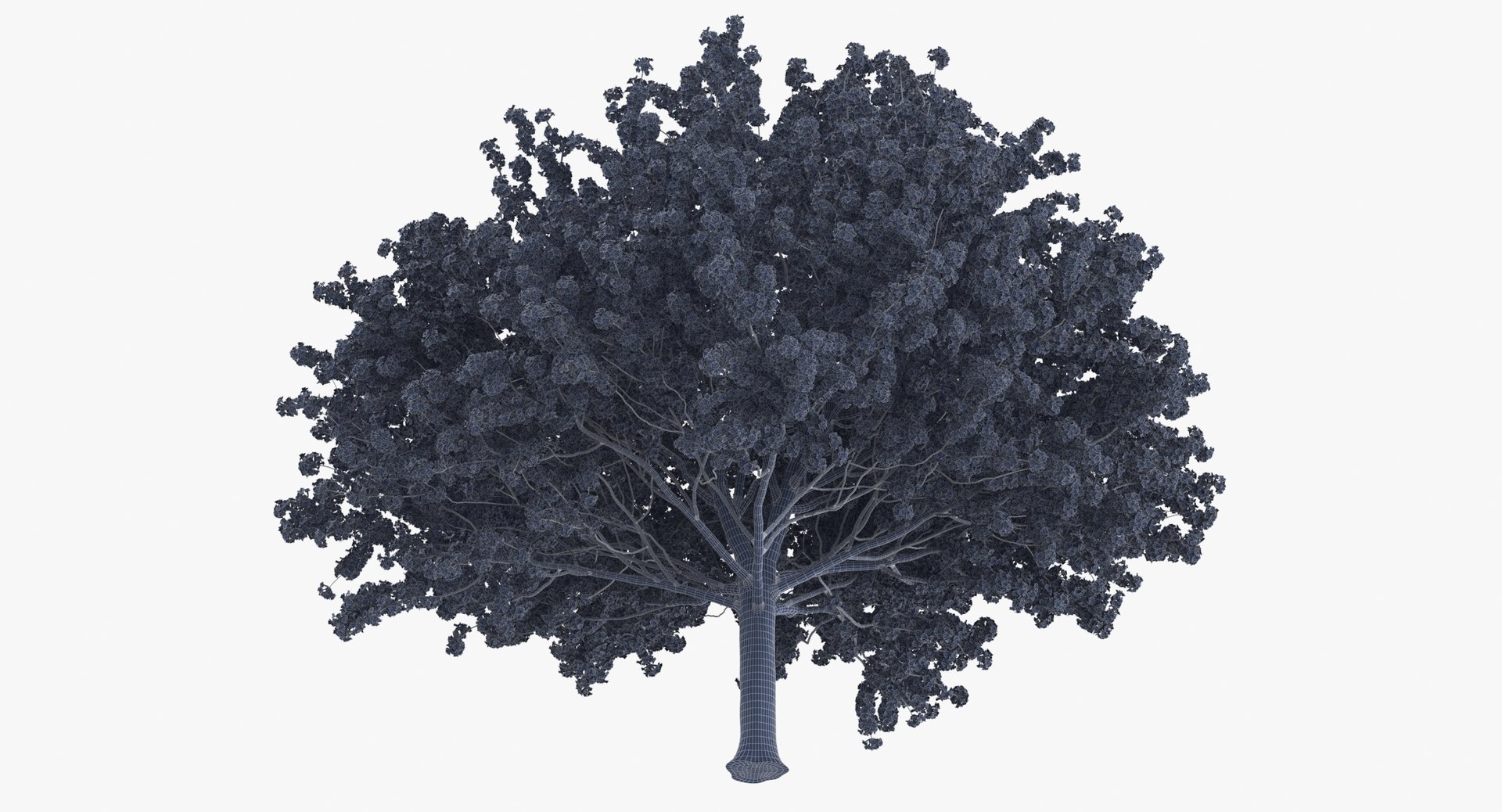 Cherry Tree 3D Model - TurboSquid 2242121