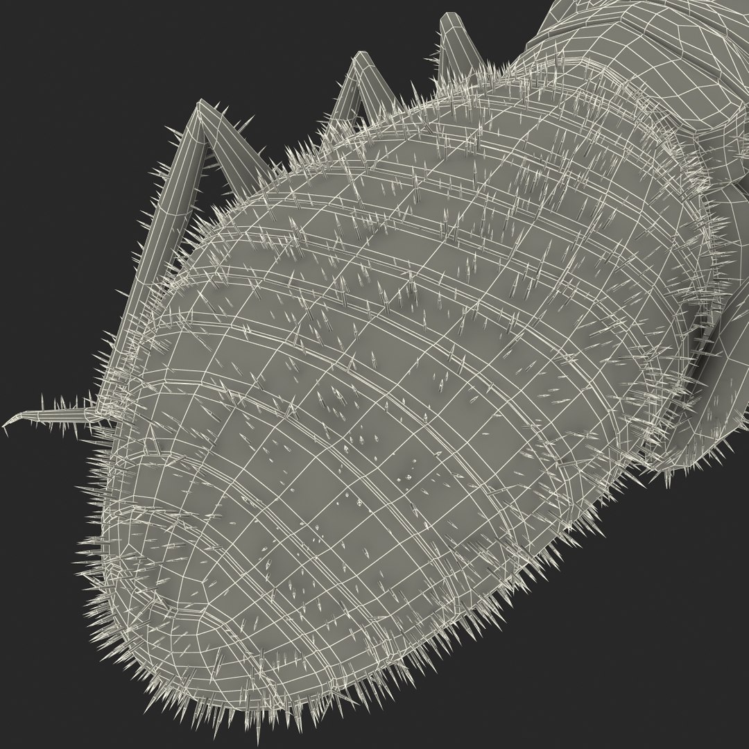 3d model of termite insect