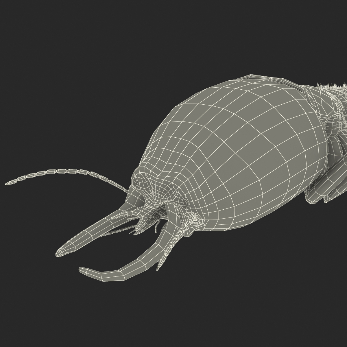 3d model of termite insect