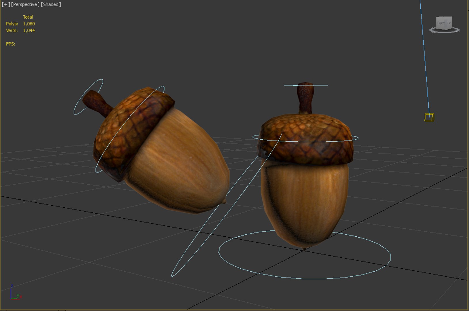 Acorn 3D Model - TurboSquid 1365635