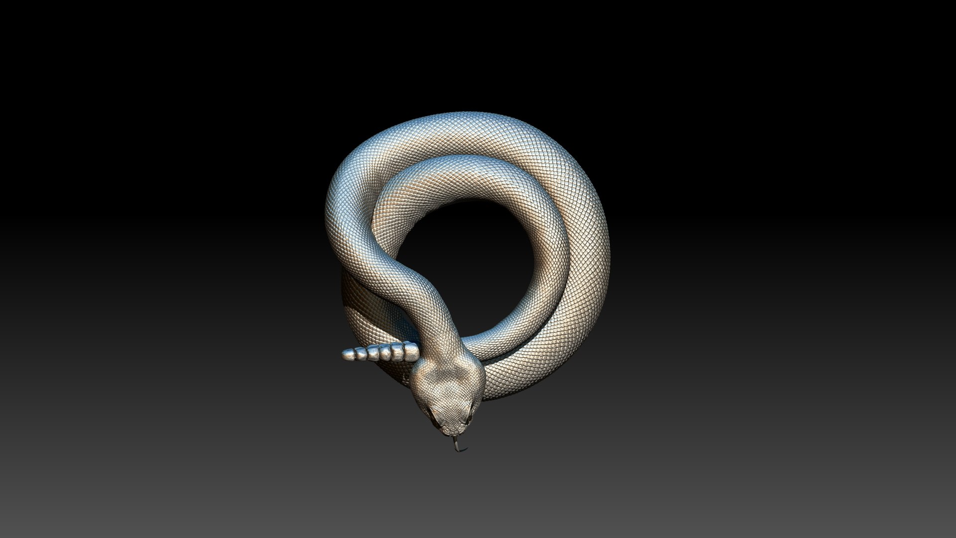 3D Rattlesnake Model - TurboSquid 1977661