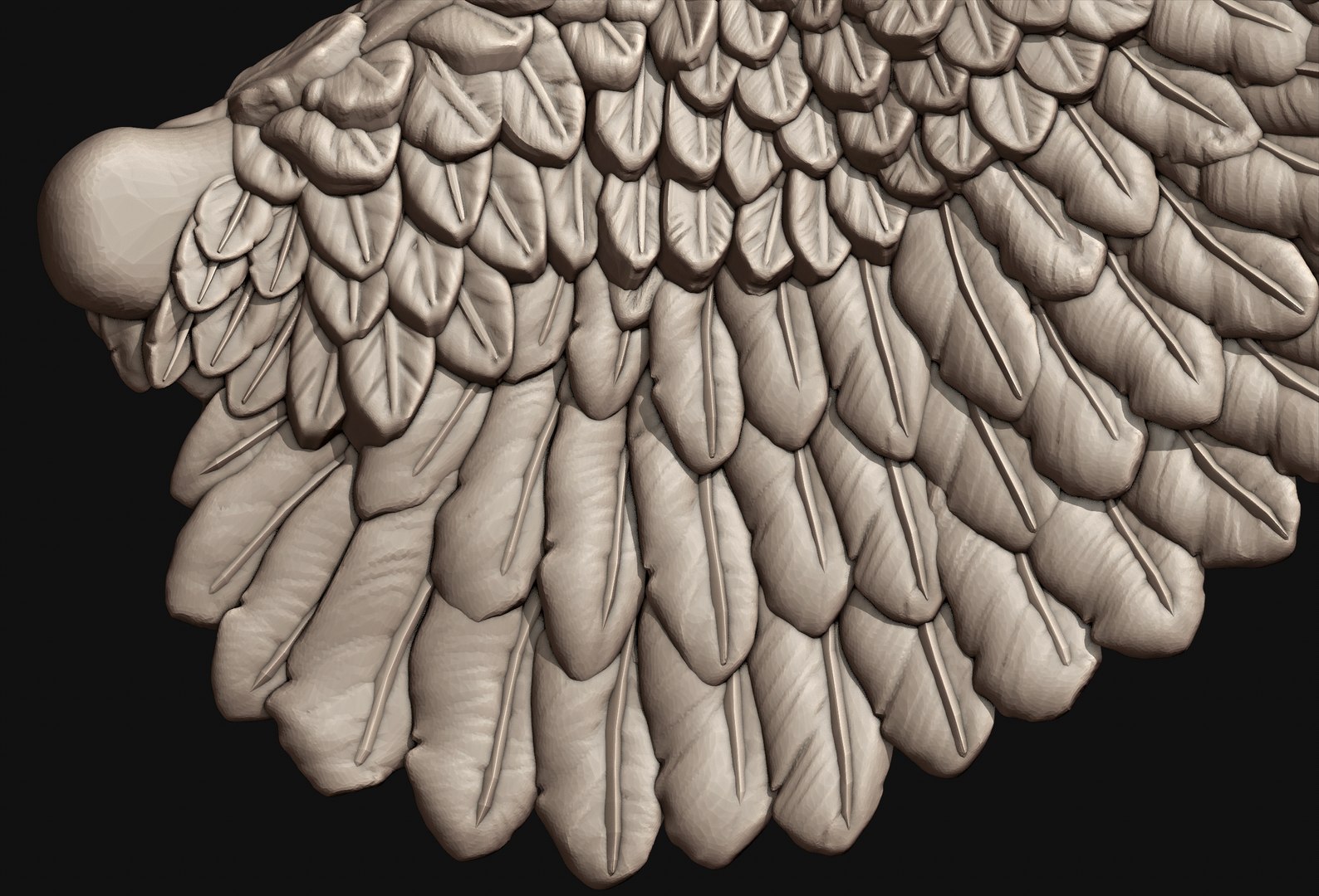 3D Wings Version 2 3D Print Model - TurboSquid 1872350