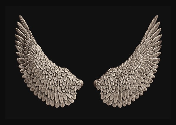 modelo 3d Alas versión 2 impresión 3D - TurboSquid 1872350
