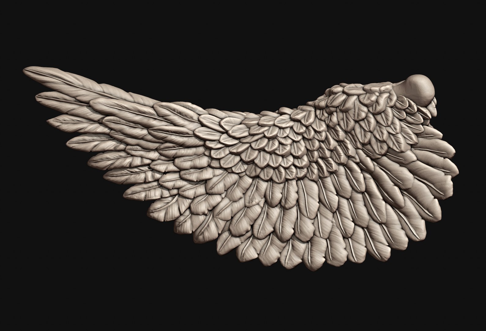 3D Wings Version 2 3D Print Model - TurboSquid 1872350