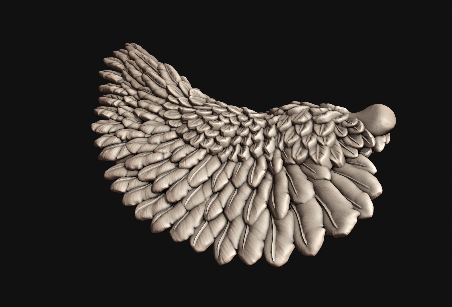3D Wings Version 2 3D Print Model - TurboSquid 1872350