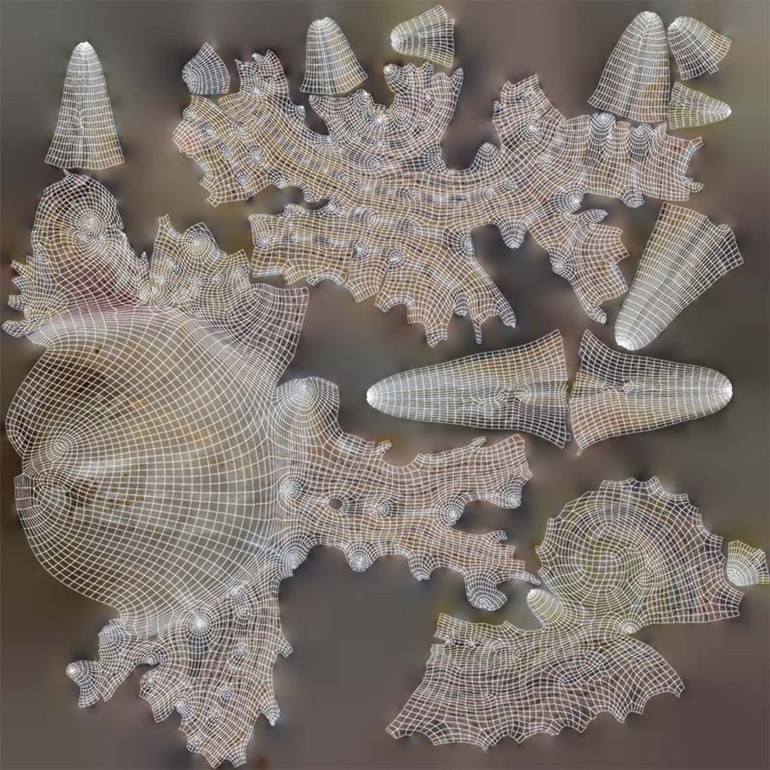 Angaria Delphinus Melanacantha 3D Model - TurboSquid 2292584