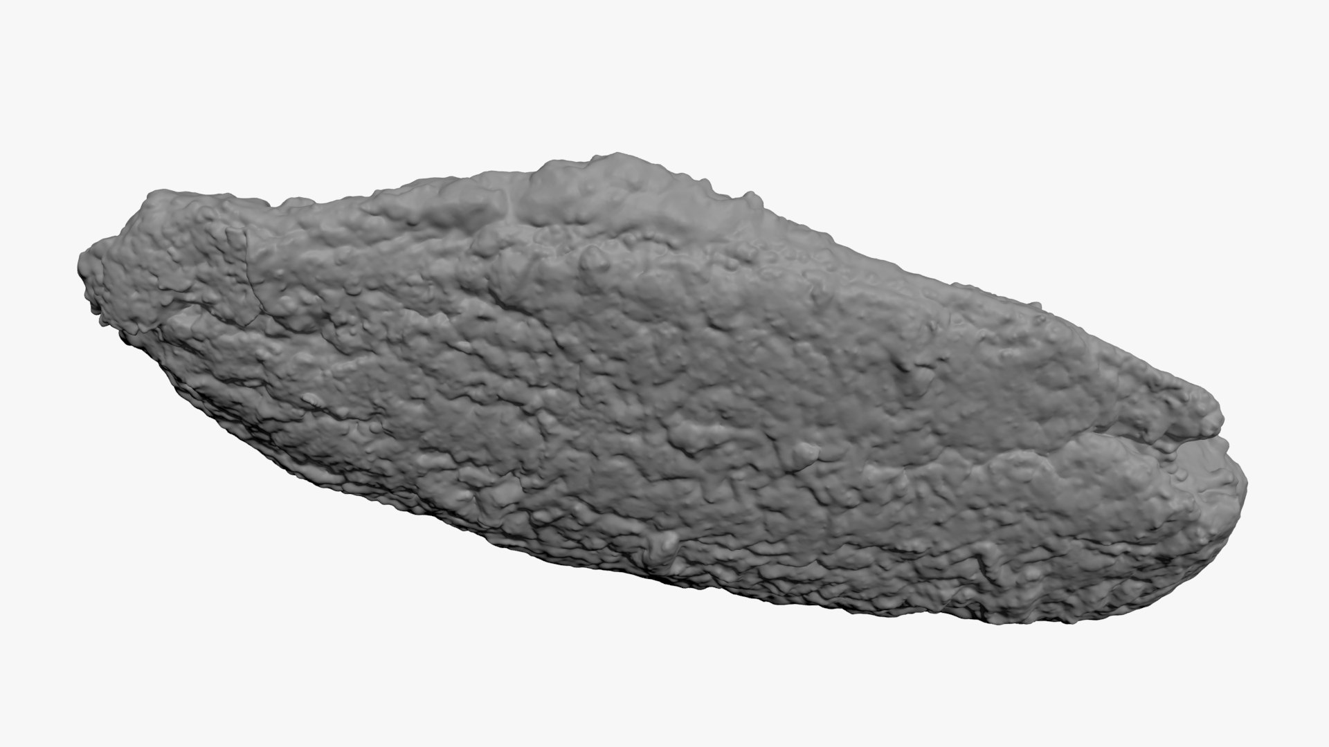 3D Dory Fish Steak 3D Print Model - TurboSquid 2295234