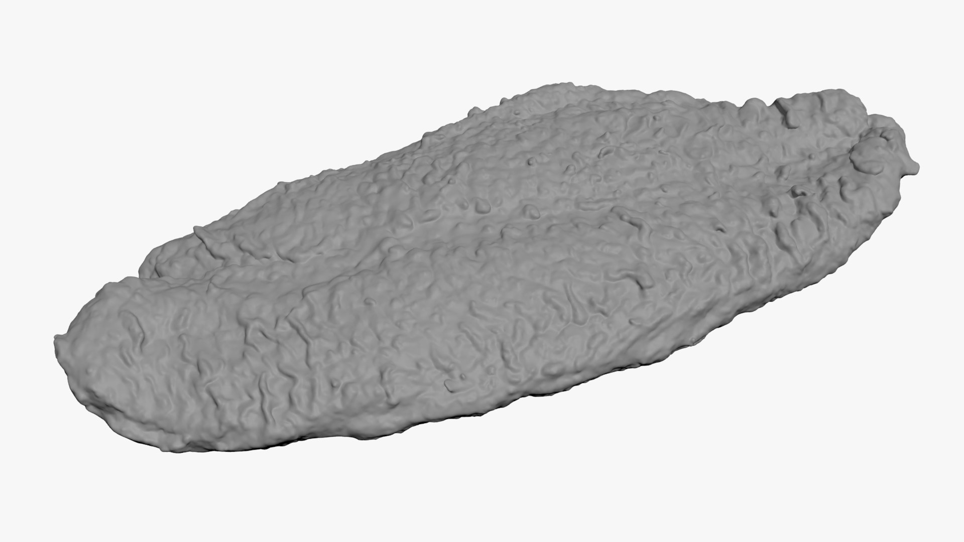 3D Dory Fish Steak 3D Print Model - TurboSquid 2295234