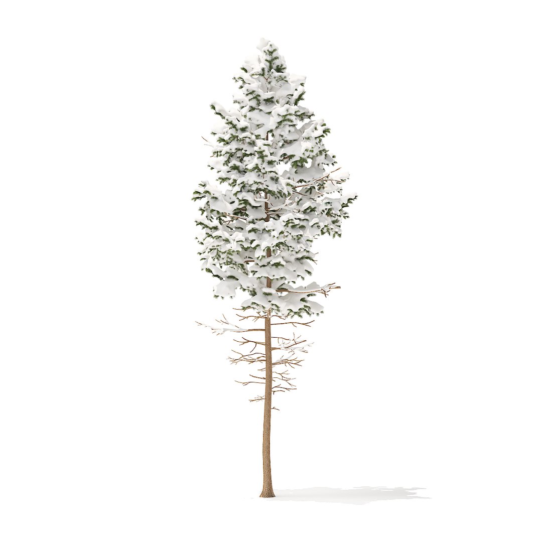 3D pine tree snow 7 - TurboSquid 1273733