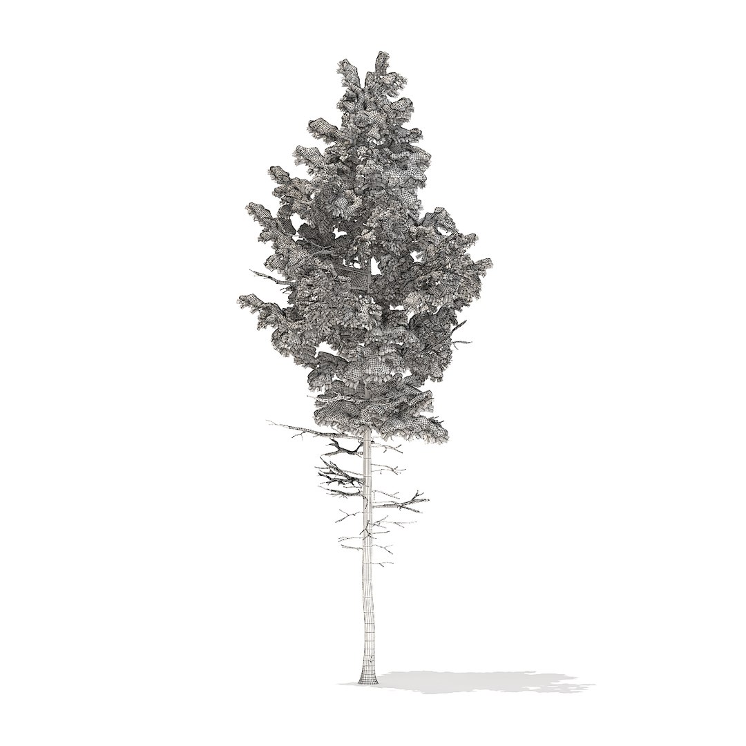 3D pine tree snow 7 - TurboSquid 1273733