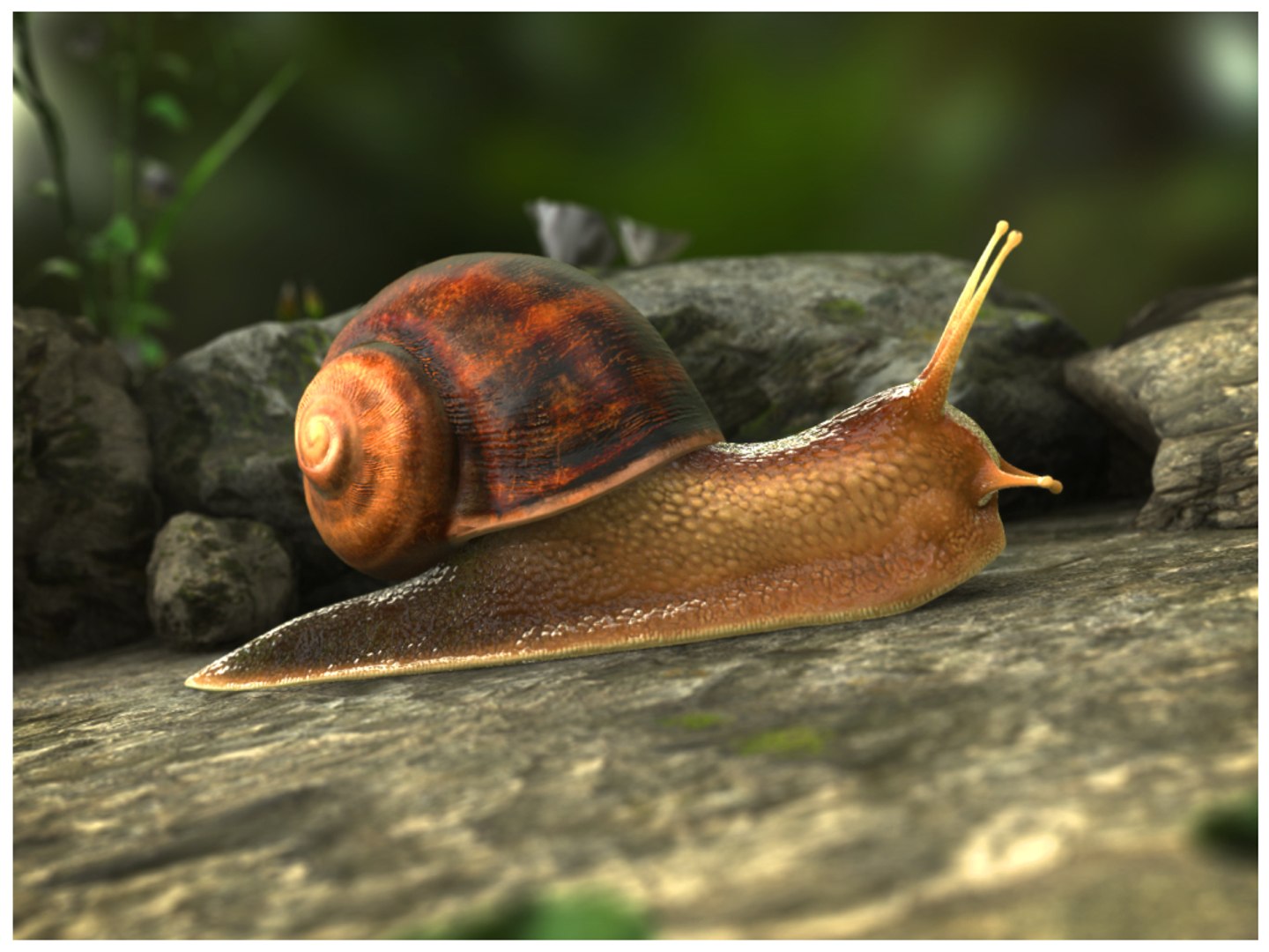 Snail Animation Crawling Model - TurboSquid 1192802