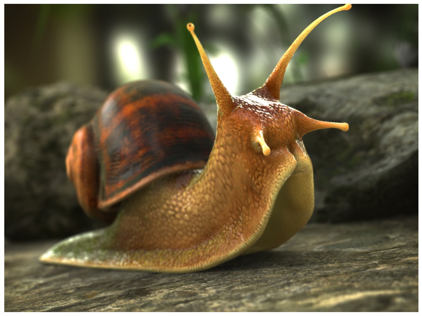 Snail Animation Crawling Model - TurboSquid 1192802