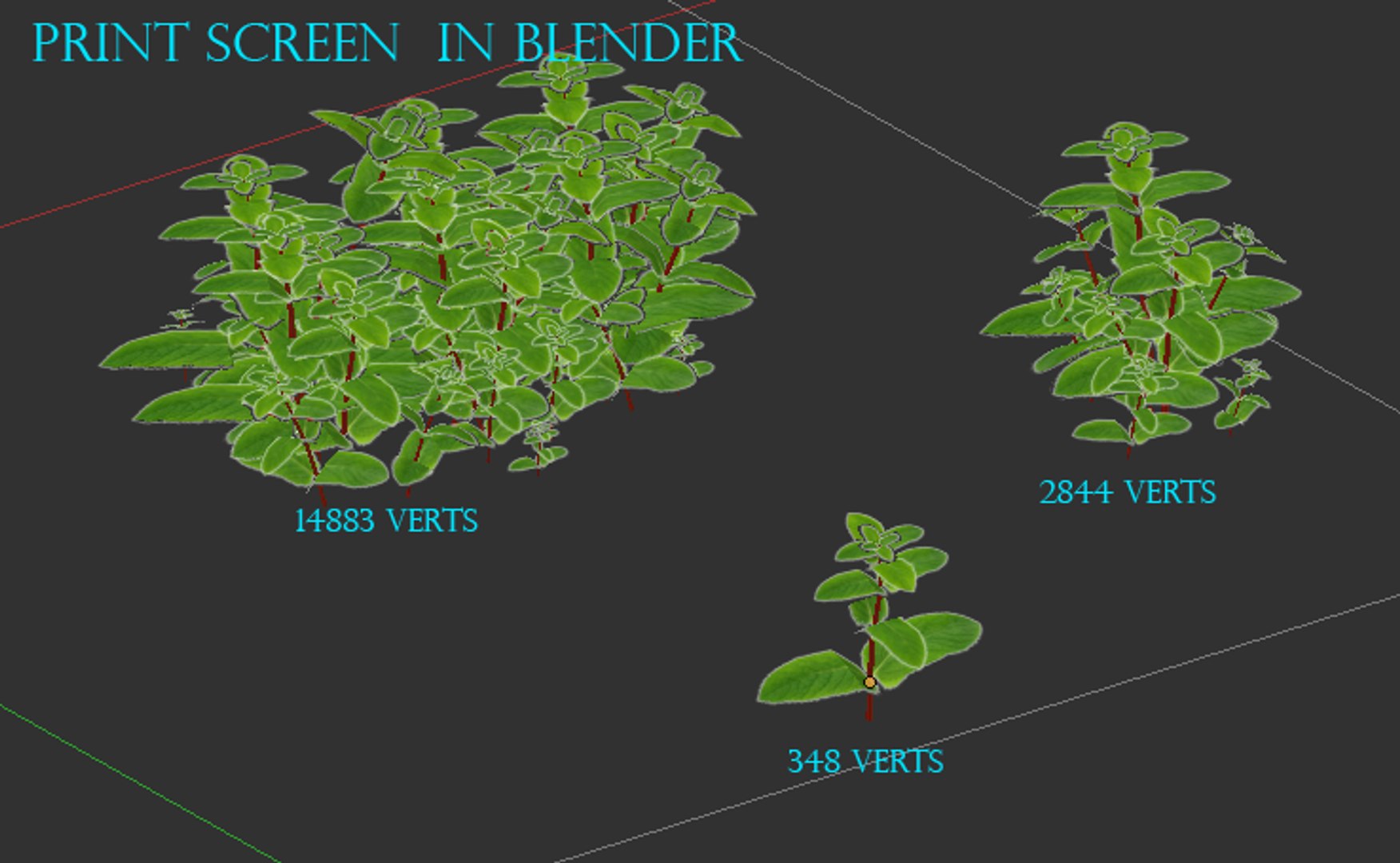 Mint Plant 3D Model - TurboSquid 1576127