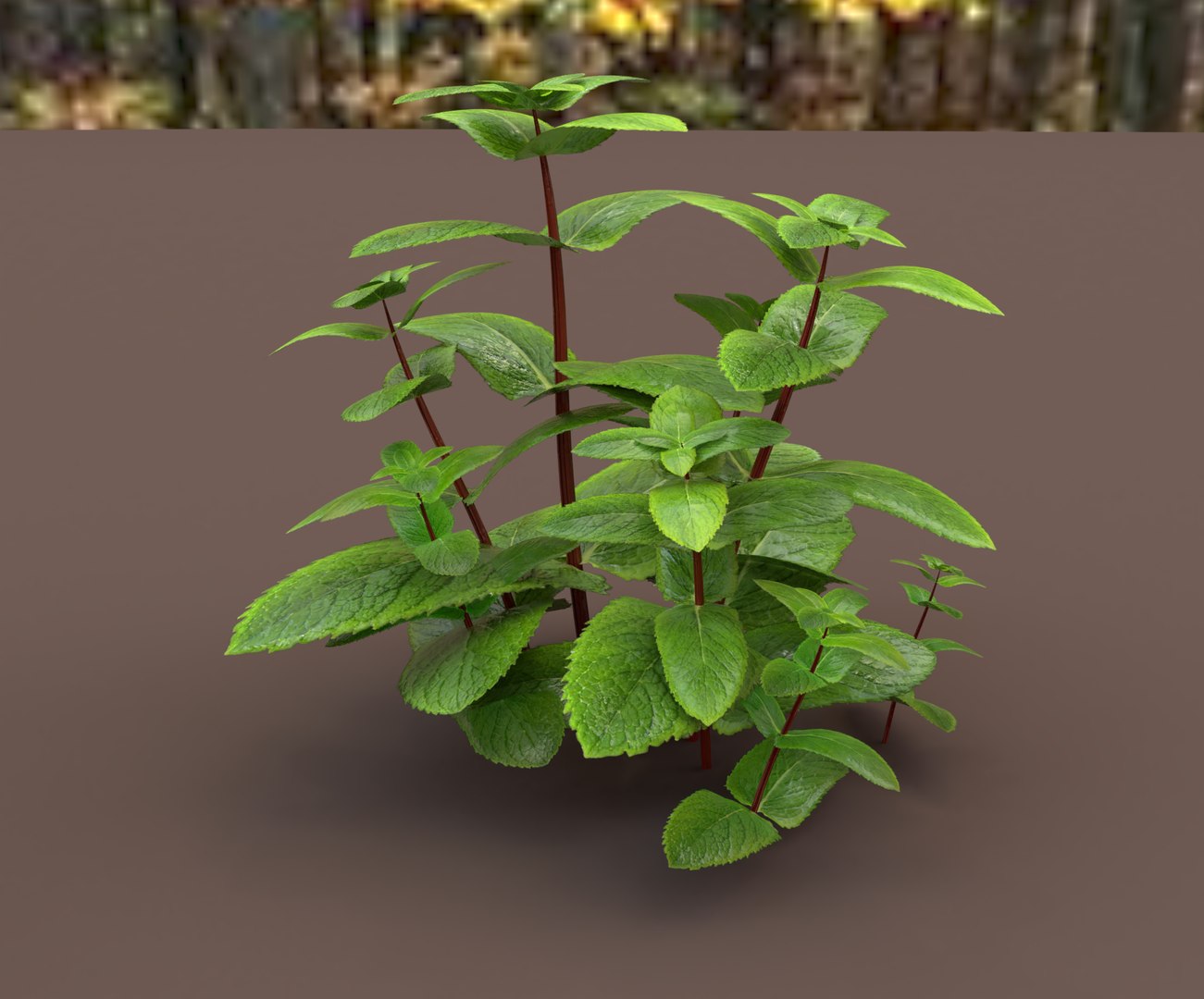 Mint Plant 3D Model - TurboSquid 1576127