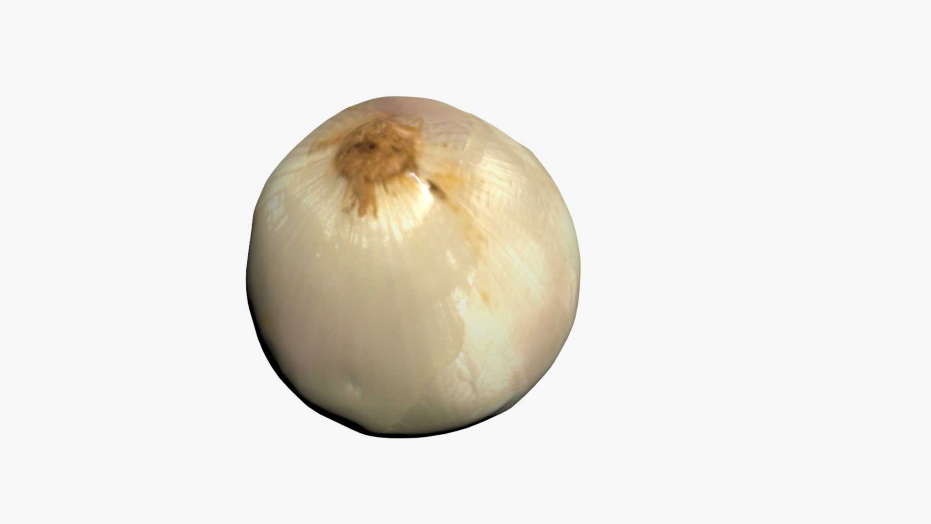 3D Onion 3D Scan High Quality - TurboSquid 1747802