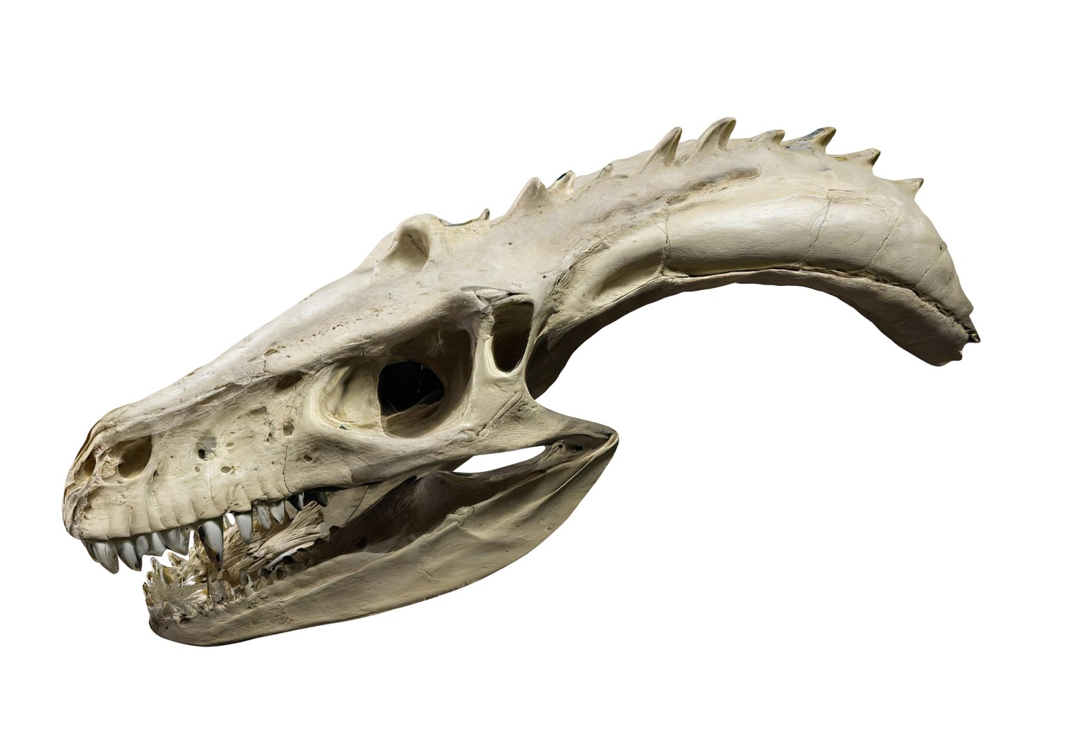 Predator Skull Pack 3D - TurboSquid 2295780